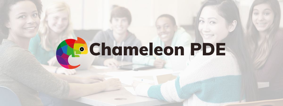 Chameleon PDE - ISN